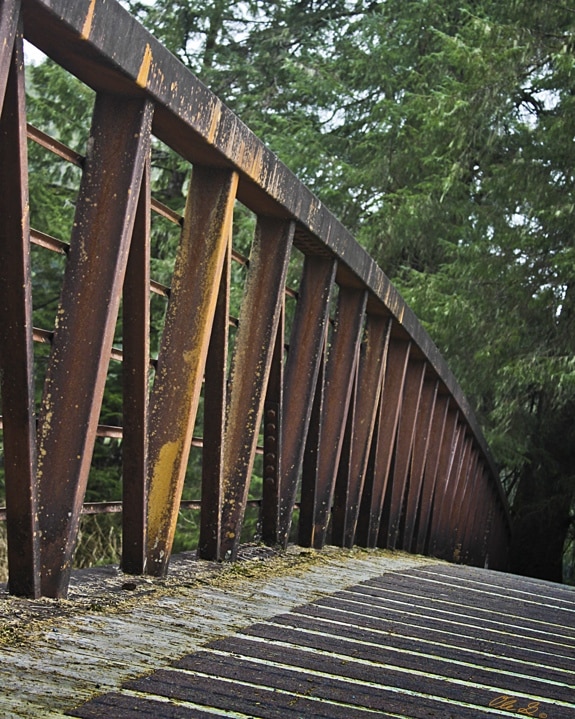 Ward Lake Nature Walk in Ketchikan Alaska - LaDonna Rose: Cookbooks ...